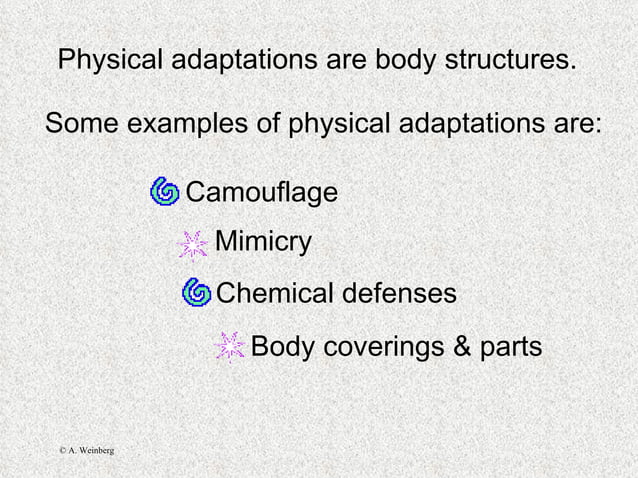 Animal adaptations-ppt | PPT