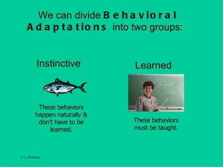 Animal adaptations-ppt | PPT