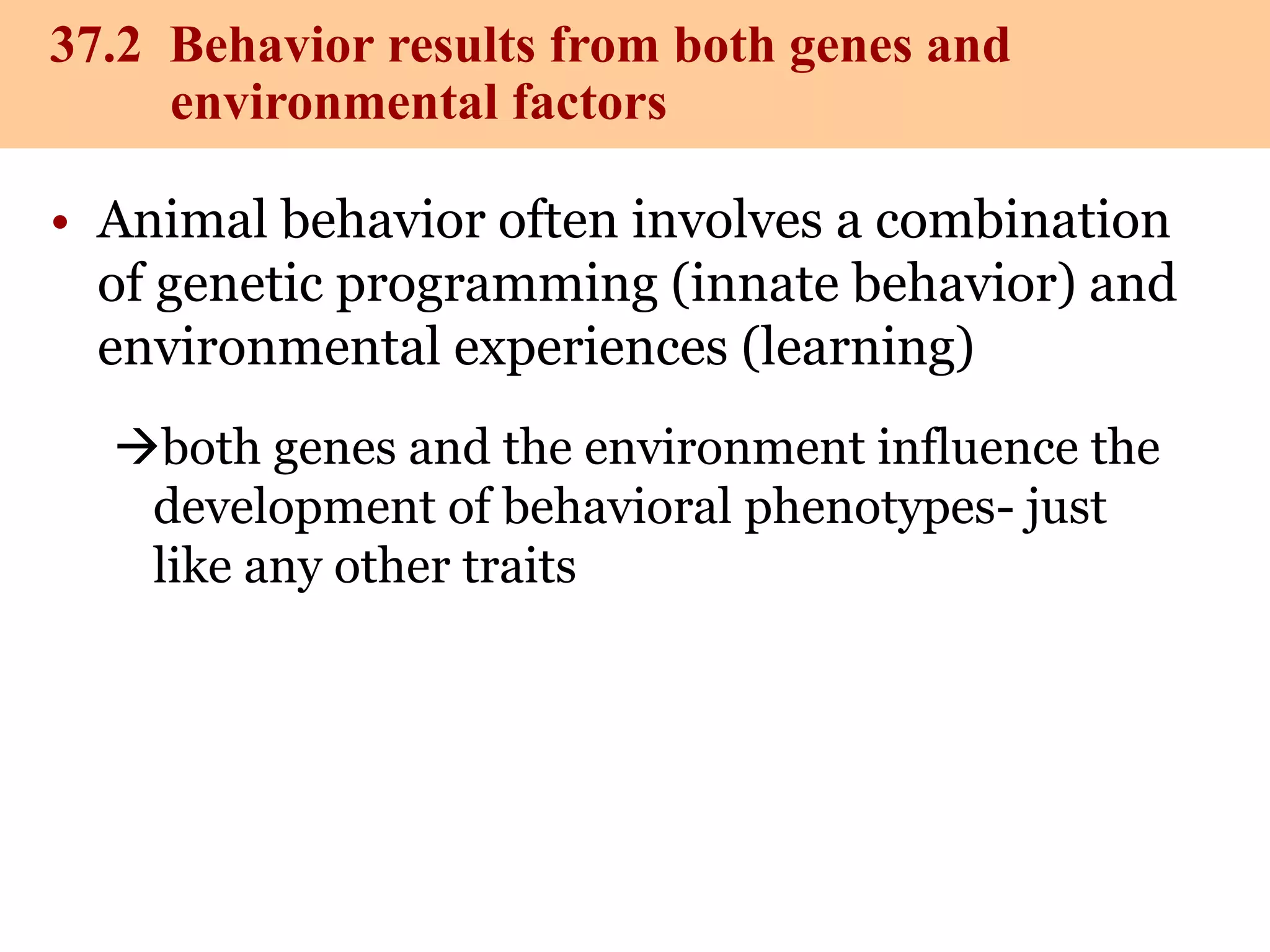 animal-behavior-PowerPoint.ppt