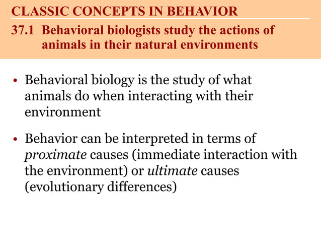animal-behavior-PowerPoint.ppt