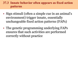 animal-behavior-PowerPoint.ppt