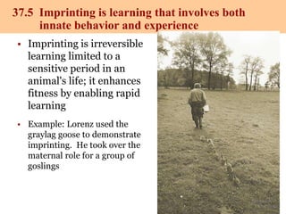 animal-behavior-PowerPoint.ppt
