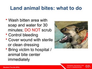 Animal-Bites-and-Stings ppt by the Philippine National Red Cross.pptx
