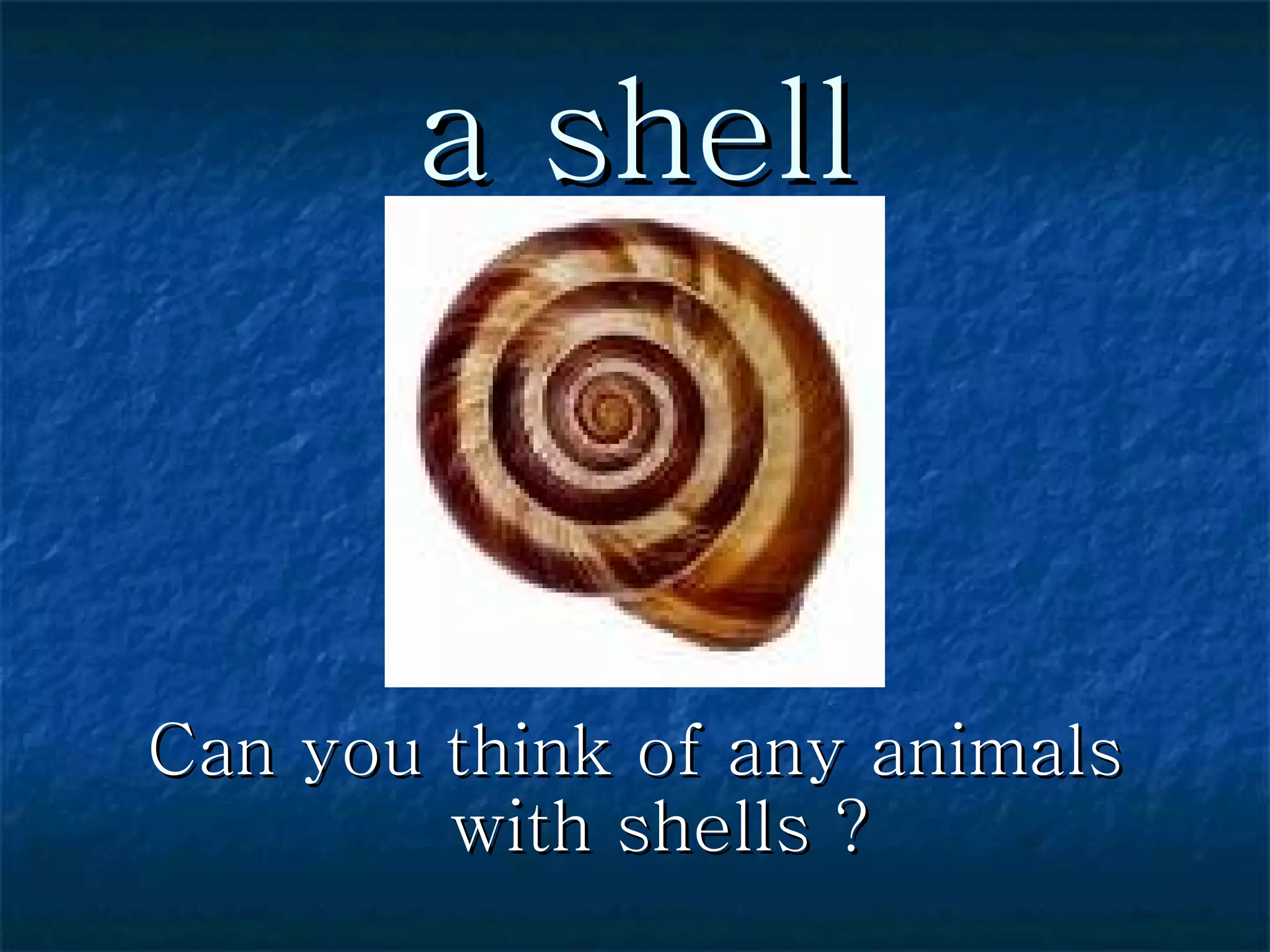 Animal body parts | PPT