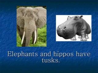 Animal body parts | PPT