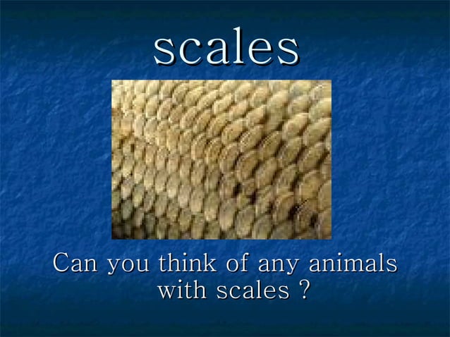 Animal body parts | PPT