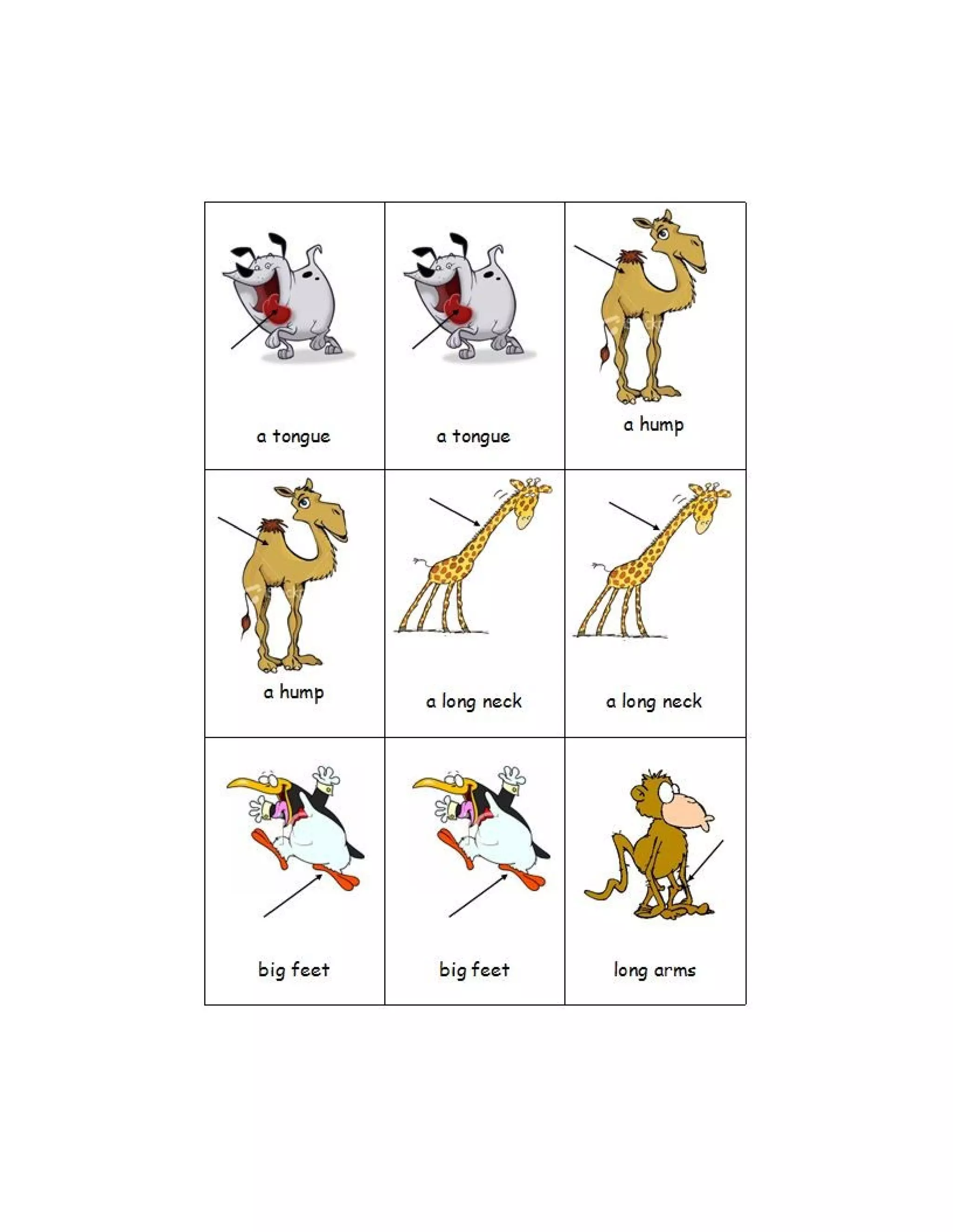 Animal body-parts-5 | DOC