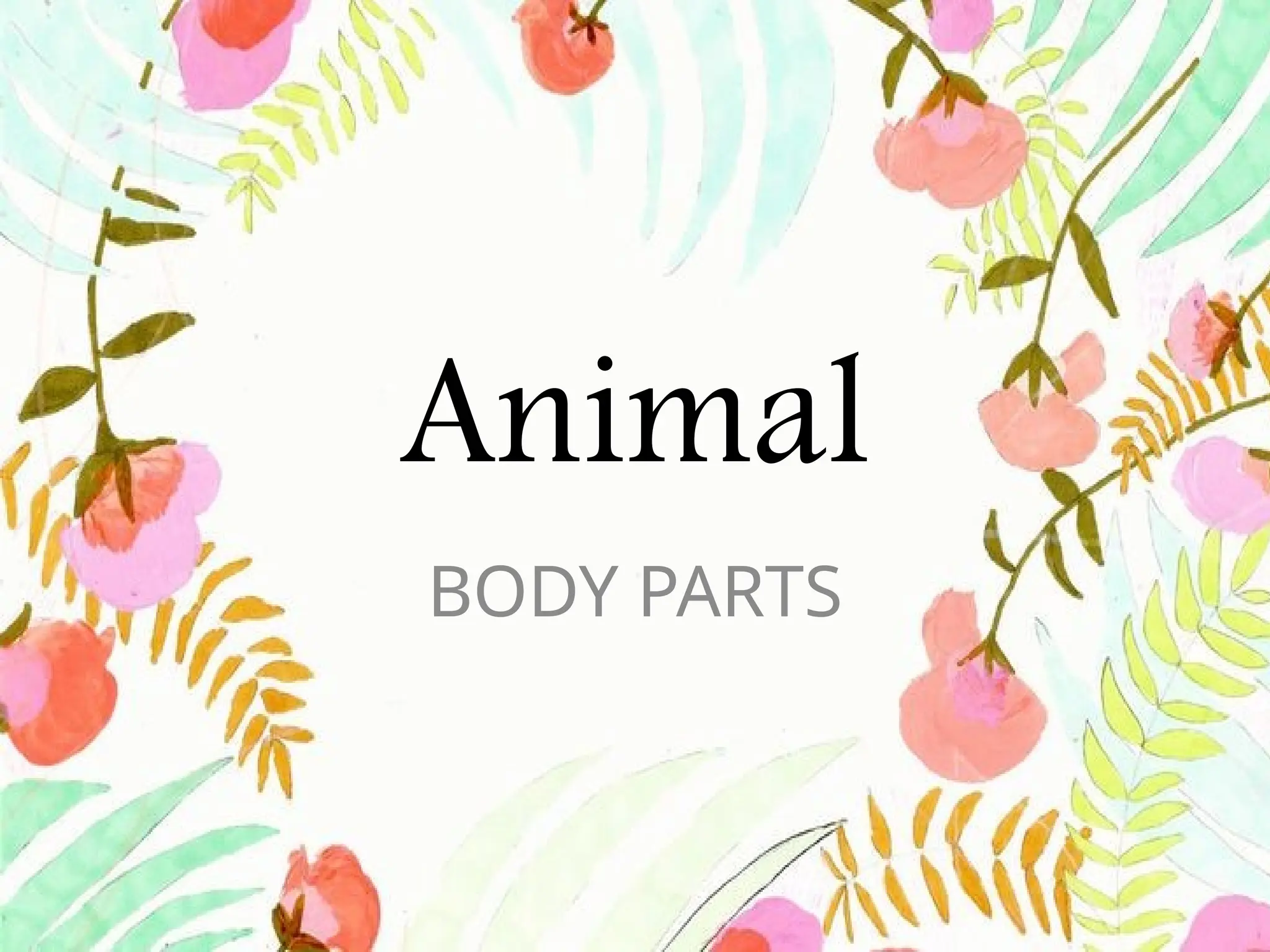 animal-body-parts-flashcards_94226125634 | PPT