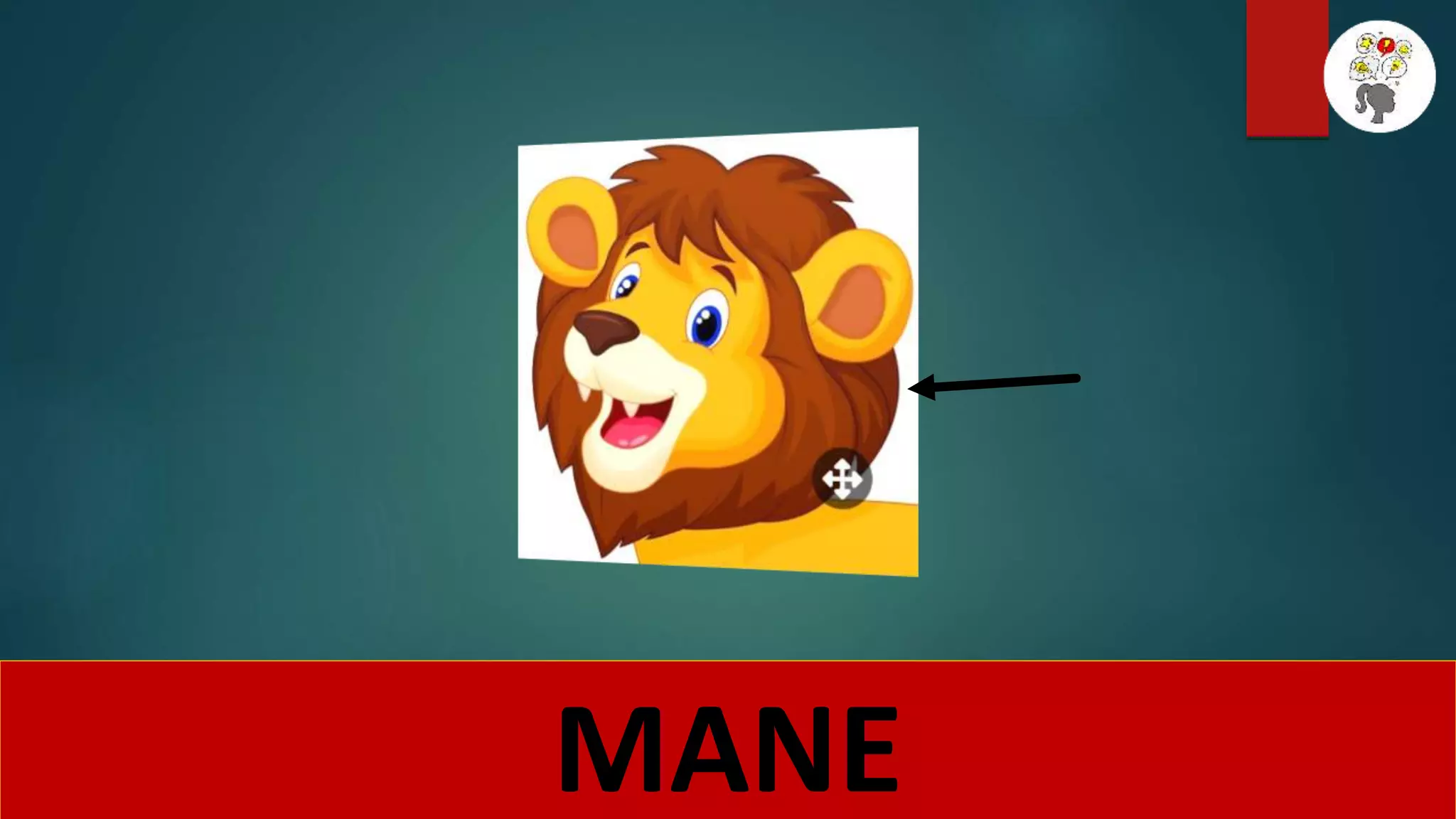 animal-body-parts-flashcards_grade 1.pptx