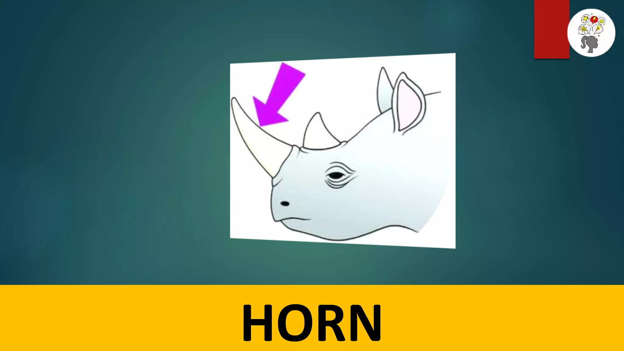 animal-body-parts-flashcards_grade 1.pptx