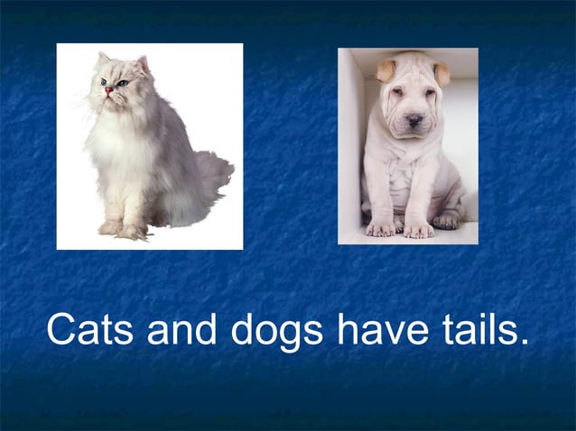 Animal body-parts | PDF | Cats | Pets