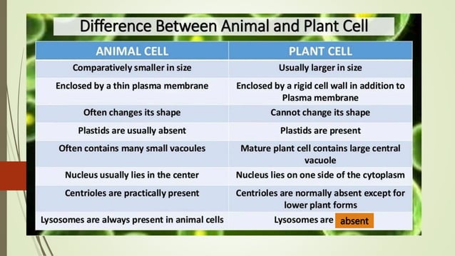 ANIMAL-CELL-VS-PLANT-CELL.pptx