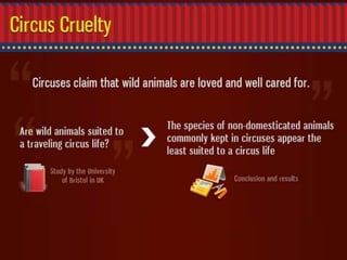 Should Animal Circuses Be Banned? Truth Behind The Curtain | PDF ...