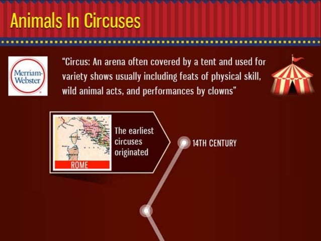 Should Animal Circuses Be Banned? Truth Behind The Curtain | PDF ...