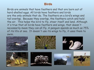 Animal Classification | PPT | Birds | Pets