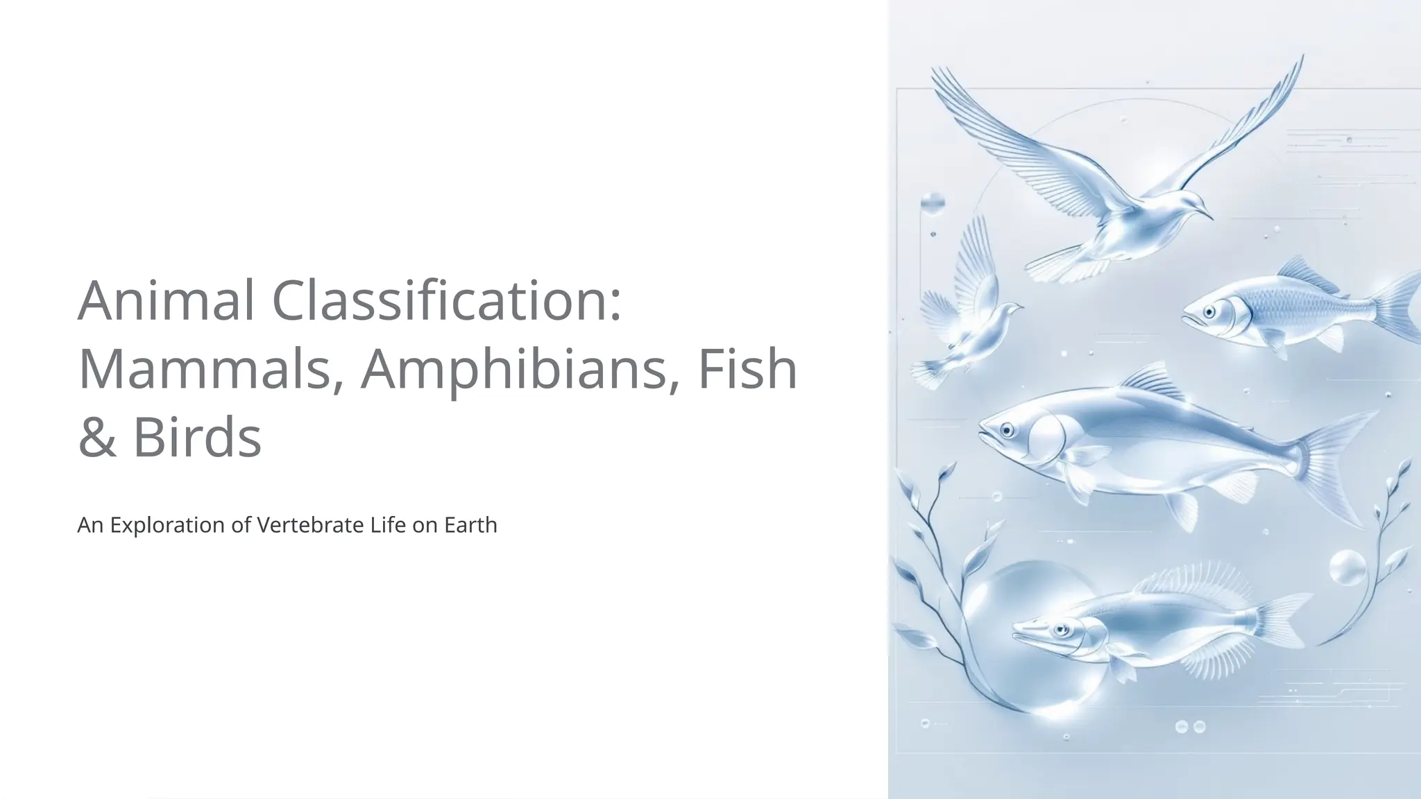 Animal-Classification-Mammals-Amphibians-Fish-and-Birds.pptx