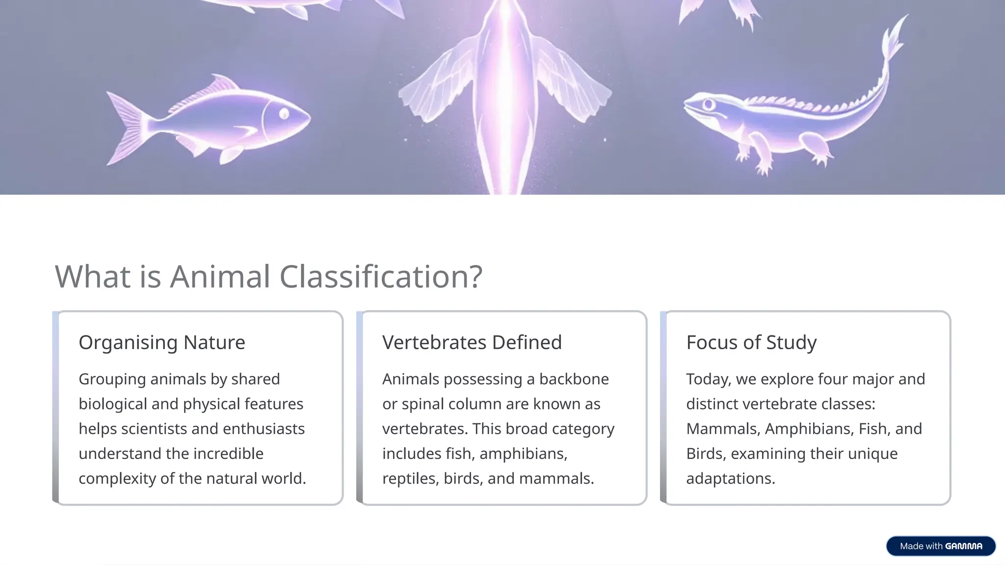 Animal-Classification-Mammals-Amphibians-Fish-and-Birds.pptx