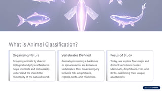 Animal-Classification-Mammals-Amphibians-Fish-and-Birds.pptx