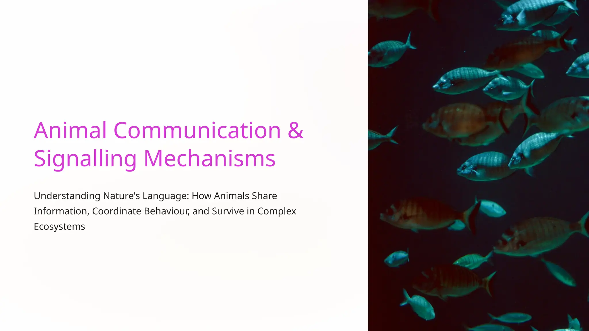 Animal-Communication-and-Signalling-Mechanisms.pptx