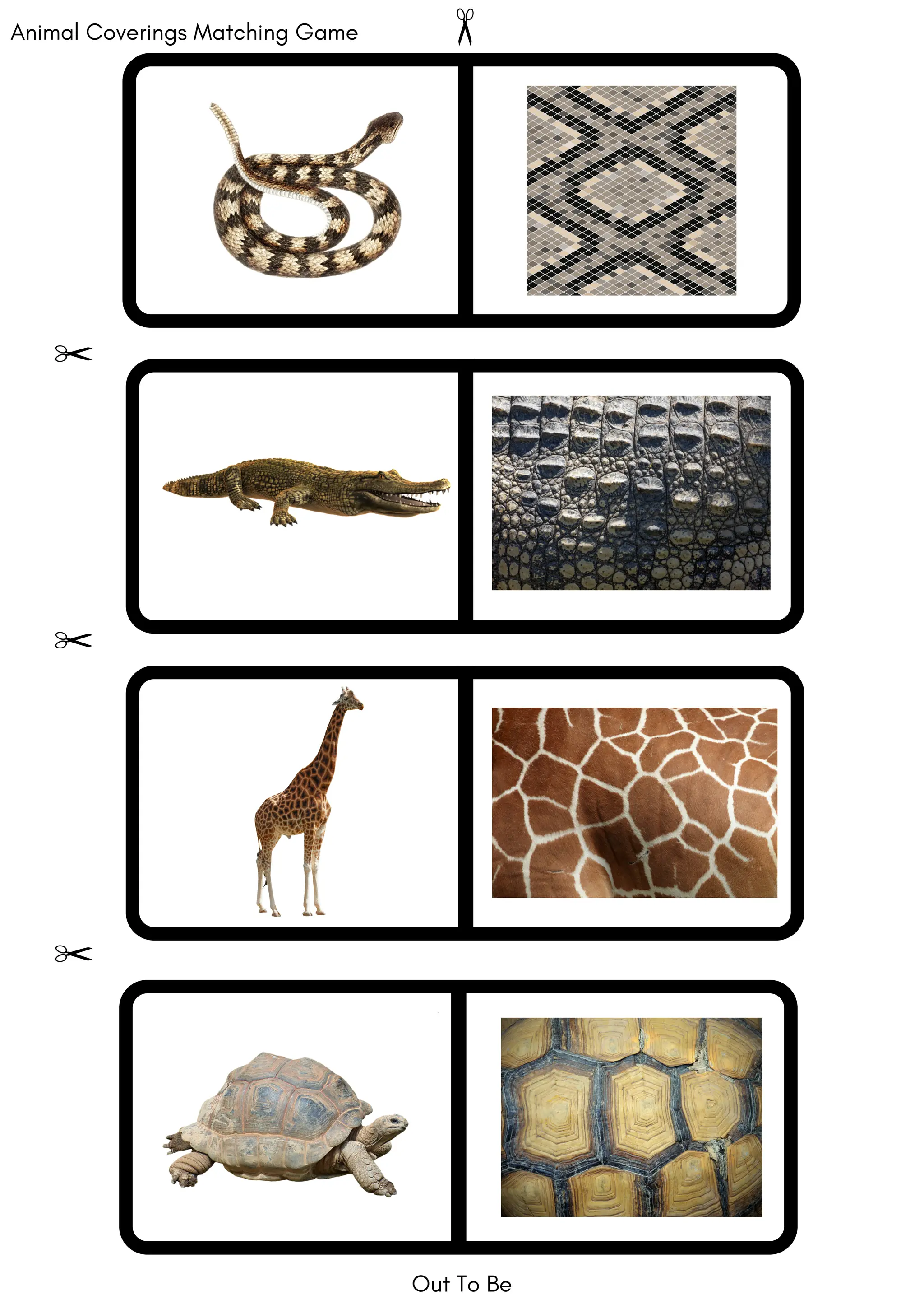 Diferenciar piel de los distintos animales | PDF