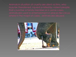 ANIMAL CRUELTY | PPT