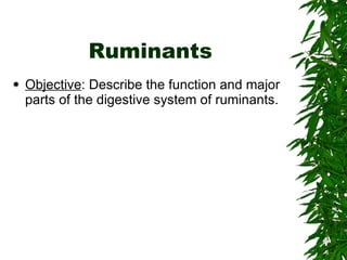Animal-Digestion-and-Nutrition.pdf
