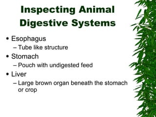 Animal-Digestion-and-Nutrition.pdf