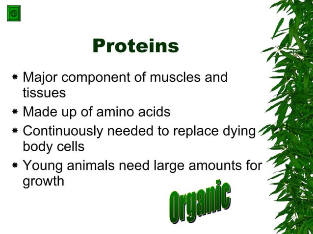 Animal-Digestion-and-Nutrition.pdf