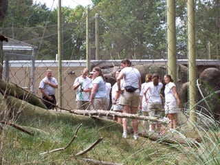 Animal Discovery | PPT