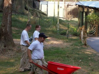 Animal Discovery | PDF