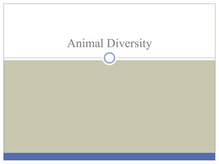animal diversity Animal Kingdom Classification of Animals.pdf
