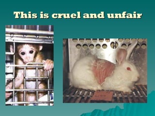 Animal Experimentation | PPT