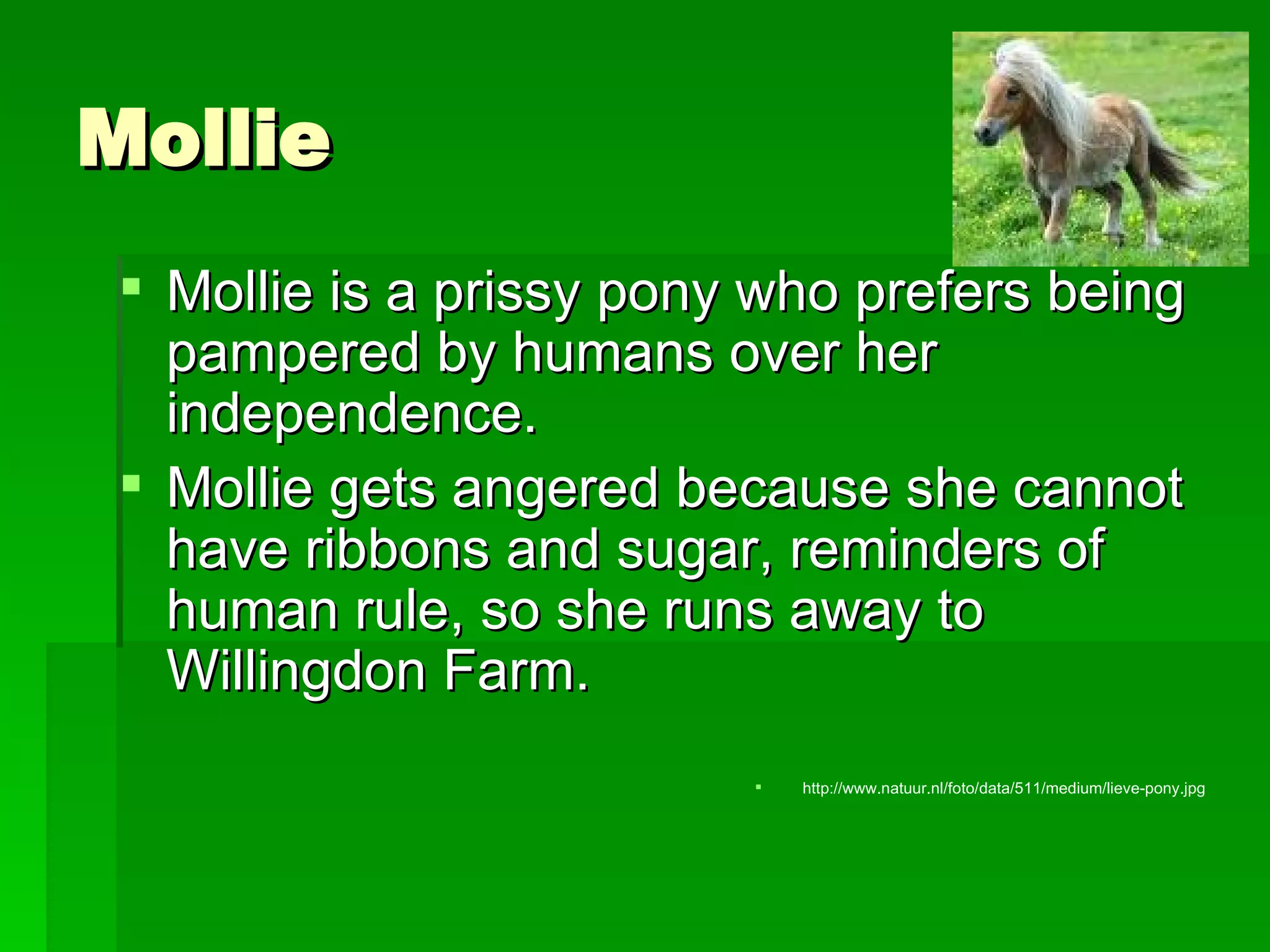 Animal Farm Characters | PPT