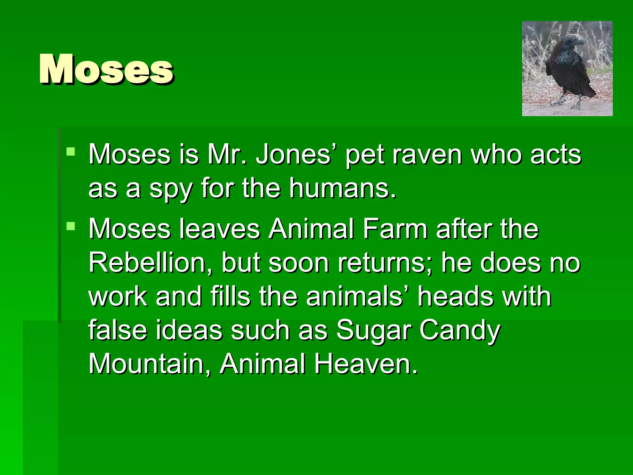 Animal Farm Characters | PPT
