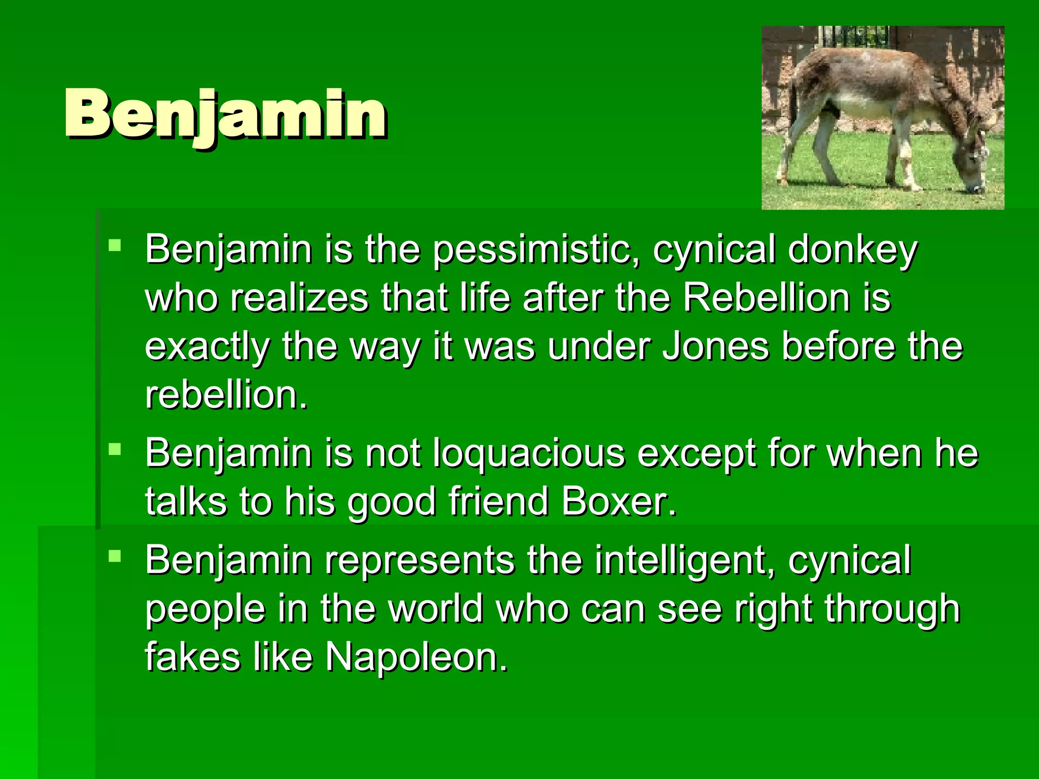 Animal Farm Characters | PPT