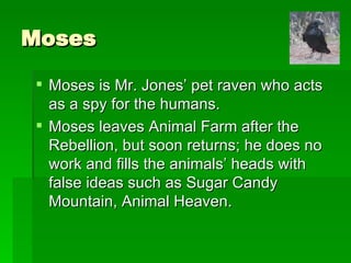 Animal Farm Characters | PPT