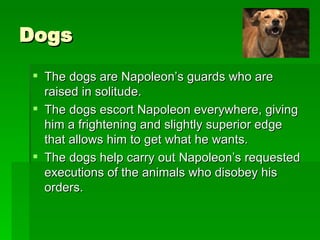 Napoleon Animal Farm And Dogs