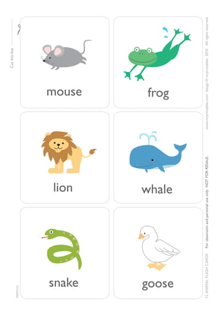 Animal-flashcards- | PDF