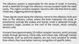 Animal Form and Function Presentation. Grr | PDF