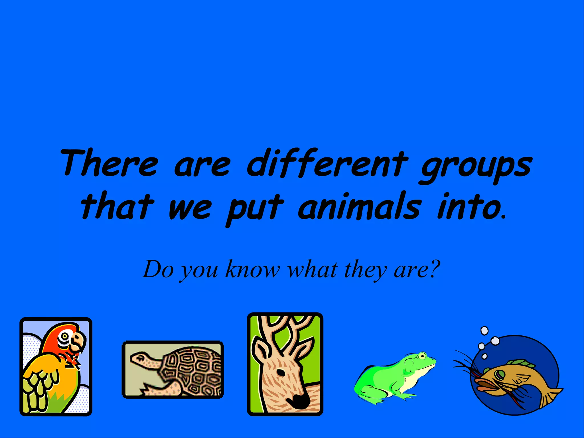 1st Grade animal Groups | PPT