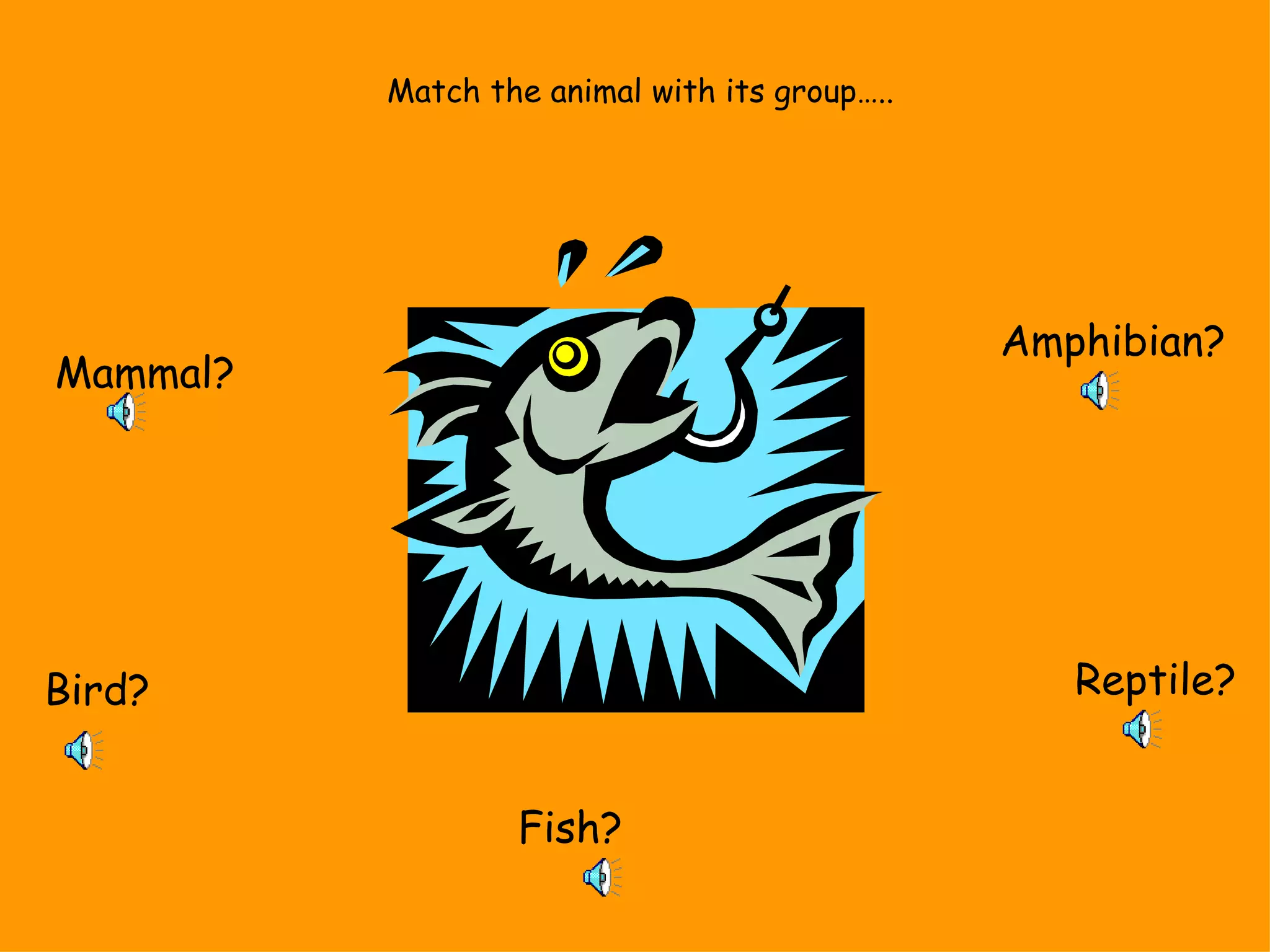 1st Grade animal Groups | PPT