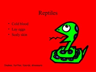 1st Grade animal Groups | PPT