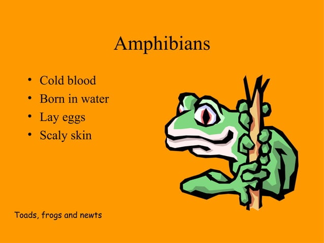 1st Grade animal Groups | PPT | Birds | Pets