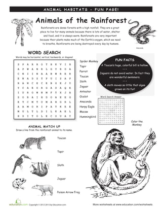 ANIMAL HABITAT AT RAIN FOREST | PDF