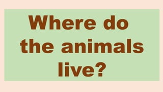 Animals Habitats - Grassland, Desert, Tundra etc | PPTX