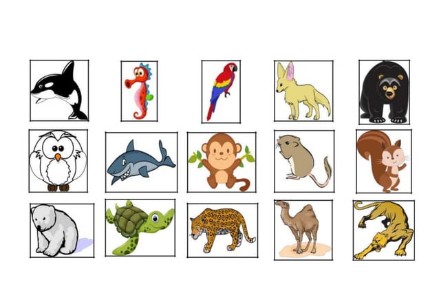 Animal-Habitat Sorting Mat.doc english flashcards | PPT