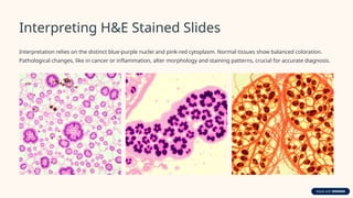 Animal-Histology-and-HandE-Staining.pptx