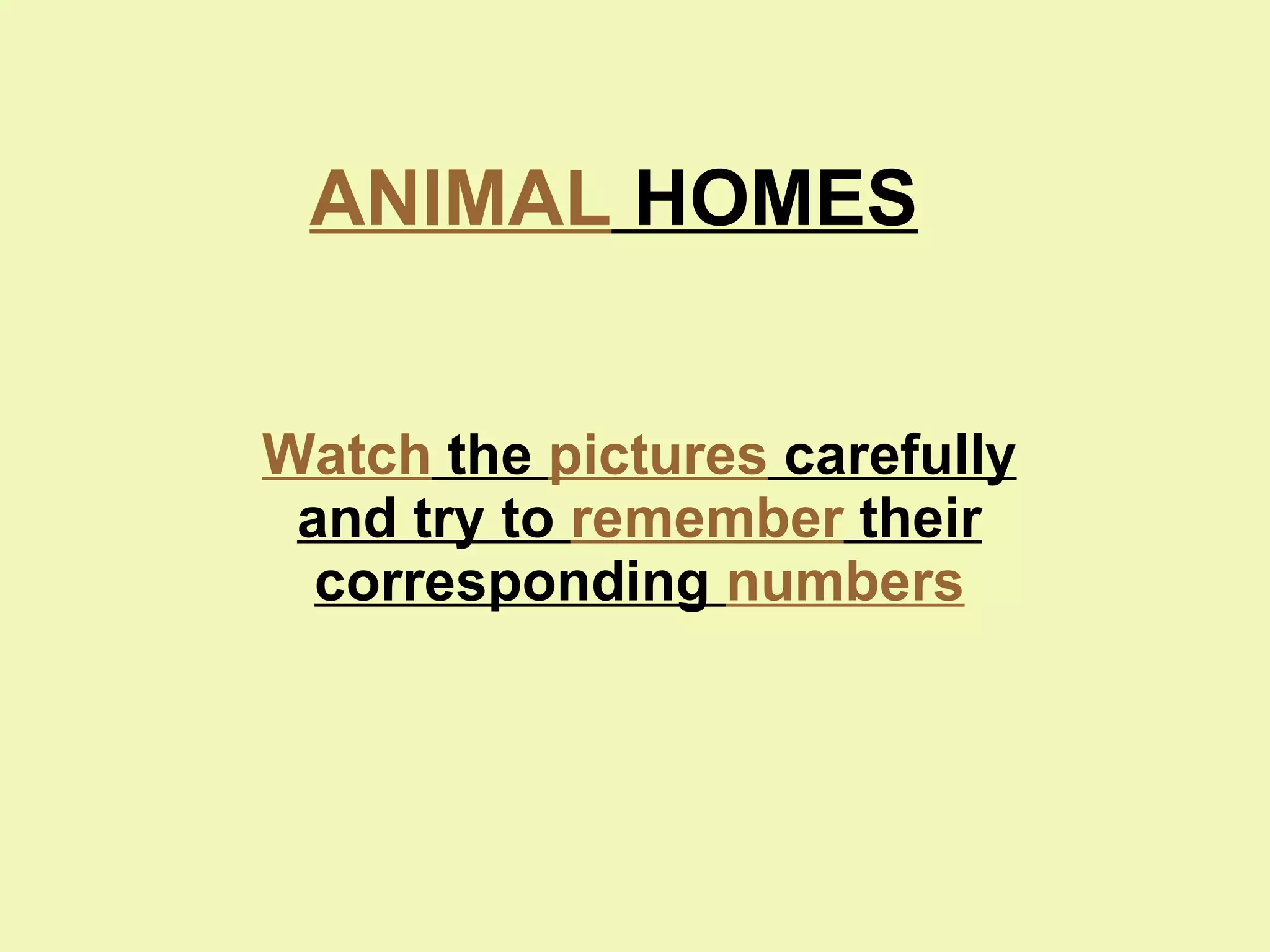 Animal Homes: Activity | PPT