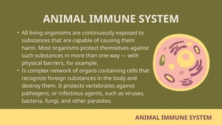 animal-immune-system.pptxvdjskkwsvjssnbensben | PPTX