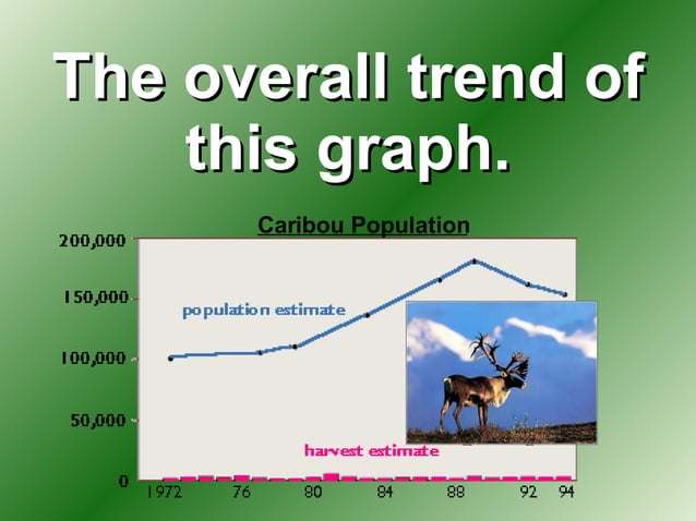 Animal Jeopardy | PPT